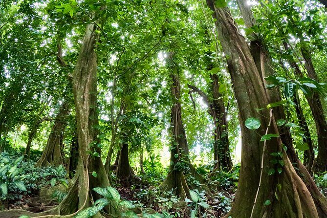 Raiatea Island or Taha'a Boat Tour - Meeting and End Points