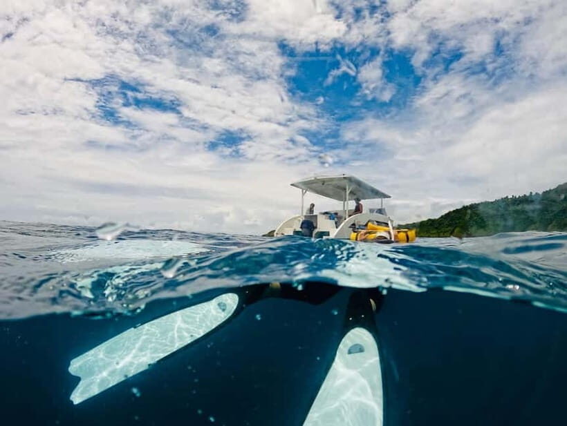 Railay: AIDA 1 or 2 Days Discover Freediving Courses - Closing Thoughts