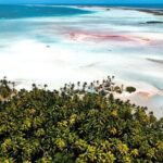 Rangiroa 2-tank Certified Scuba Dive - Why This Tour Shines