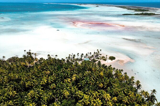 Rangiroa 2-tank Certified Scuba Dive - Why This Tour Shines
