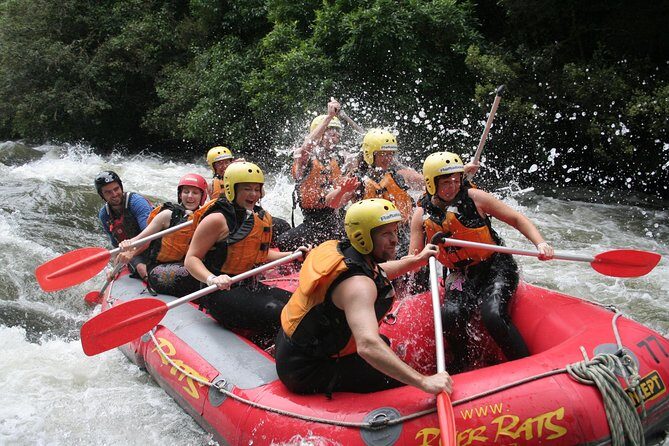 Rangitaiki River White Water Rafting from Rotorua - The Itinerary in Detail