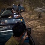 Ranthambore safari by Canter (20 seater) 24 hrs advance - The Experience of Riding in a Canter