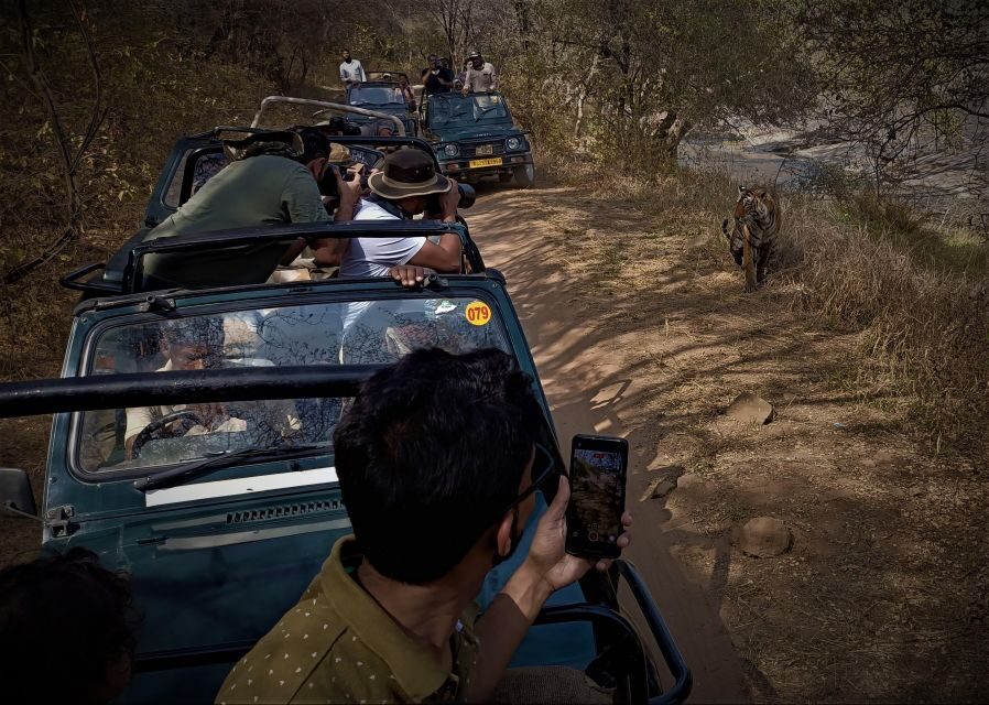 Ranthambore safari by Canter (20 seater) 24 hrs advance - The Experience of Riding in a Canter
