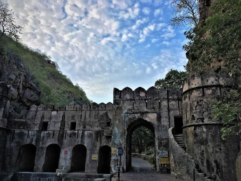 Ranthambore Tiger Safari Day Trip with Fort Tour & Lunch - The Sum Up