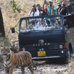 Ranthambore : Tiger Safari Tour in Canter - Exploring the Park: What You Can Expect