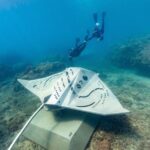Rayglass Protector - Standard Private Charter - Whitsundays - Who Would Enjoy This Tour?