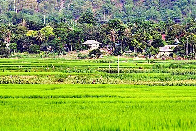 Real Vietnam Countryside Bicycle Tour & Enjoy Sunset On Wood Boat - What’s Included and What’s Not