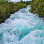 Redwood Forest , Blue Springs & Huka Falls Day Tour from Auckland - Exploring the Itinerary: What to Expect