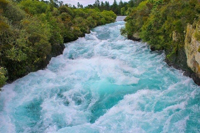 Redwood Forest , Blue Springs & Huka Falls Day Tour from Auckland - Exploring the Itinerary: What to Expect