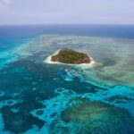 Reef and Rainforest 60 minute Scenic Flight - What Makes This Tour Special?