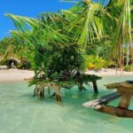 Reef Discovery Luxury Water Lunch Cruise - FAQs