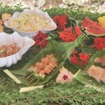 Reef Discovery Private Dream Day Tour - Why This Tour Is a Great Choice