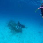 Reef Discovery Private Full Day Lagoon Tour & Motu Lunch - The Sum Up