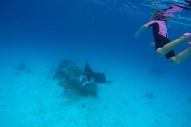 Reef Discovery Private Full Day Lagoon Tour & Motu Lunch - The Sum Up