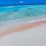 REEF ISLAND | private island | pink sand | natural swimming pools - Practical Tips for Your Trip