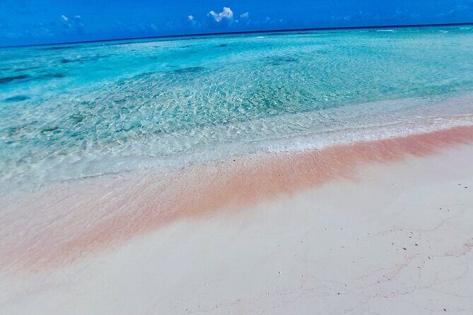 REEF ISLAND | private island | pink sand | natural swimming pools - Practical Tips for Your Trip