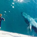 Remote K'gari (Fraser Island) & Whale Experience - The Highlight: Whale Encounters