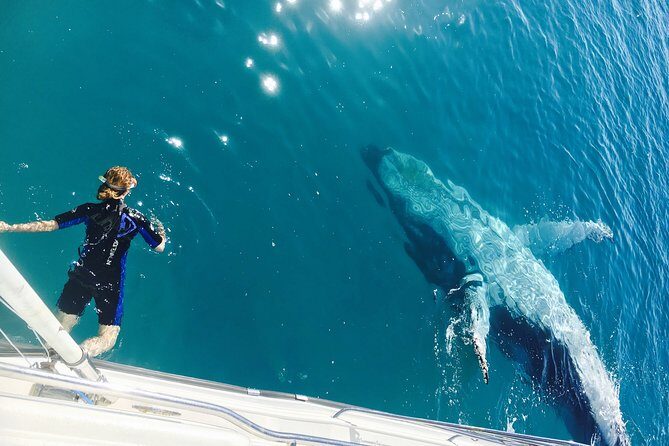 Remote K'gari (Fraser Island) & Whale Experience - The Highlight: Whale Encounters