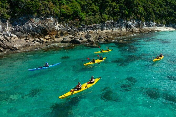 Remote Marine Reserve - Guided Kayaking - New Zealand - Navigating the Itinerary: What to Expect