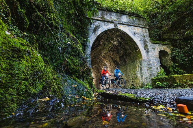Remutaka Rail Trail Explorer - eBike Cruise Ship Shore Excursion - Practical Details and Tips