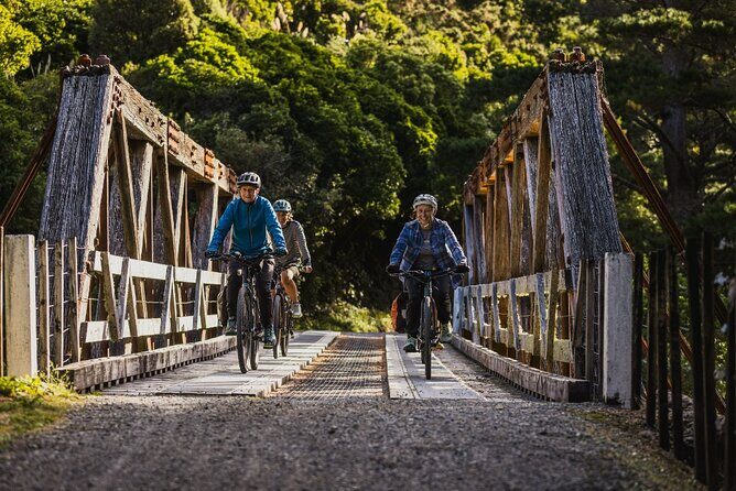 Remutaka Rail Trail Mountain Bike Explorer Cycle Tour - An In-Depth Look at the Tour