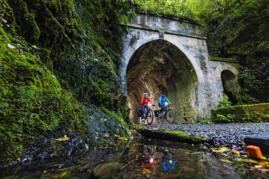 Remutaka Rail Trail Mountain Bike Explorer - The Itinerary: What to Expect
