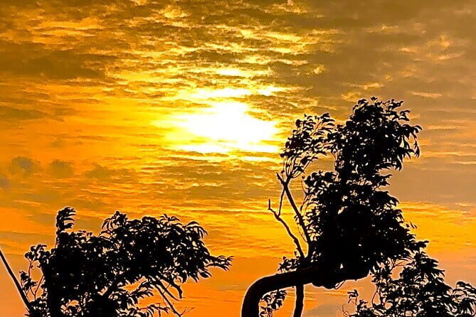 Rent a Tuk Tuk & take a Hike for an amazing Sunset in Tissa! - Authentic Experiences & Traveler Feedback