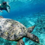 Rent Gopro 10 for all day - The Bottom Line: Is This Worth It?