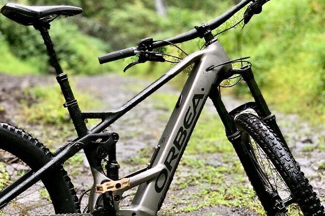 Rental of an Electric Mountain Bike on the Tahiti Peninsula - Who Should Consider This Tour?
