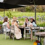Richmond and Wine Tour - Who Should Consider This Tour?