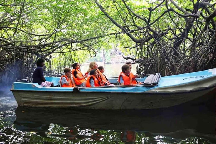 "Ride Through Paradise: Aluthgama & Bentota Tuk Tuk Tour" - The Sum Up