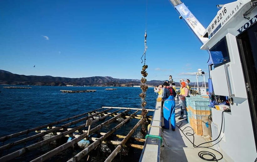 Rikuzentakata: The Finest Seafood and Culture Tour - The Sum Up