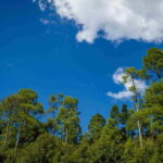 Rishikesh: Neelkanth Mahadev Guided Trek - FAQ