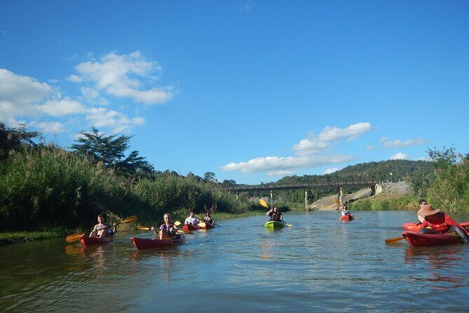 River Kayaking in Chiang Dao Jungle From Chiang Mai - Who Will Enjoy This Tour?