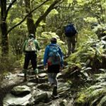 Rob Roy Glacier Guided Walk - What Travelers Are Saying