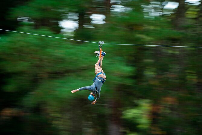 Rock Climb, Zipline and Mega Swing Experience - Value for Money and Overall Impression