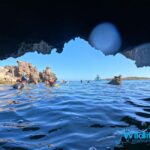 Rockingham: 3 Island Wildlife Snorkeling Cruise with Lunch - The Realities of Wildlife Tourism