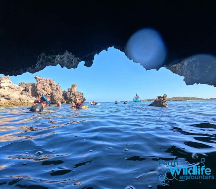 Rockingham: 3 Island Wildlife Snorkeling Cruise with Lunch - The Realities of Wildlife Tourism