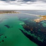 Rockingham: Shoalwater Islands Tour and Penguin Island - The Itinerary in Detail