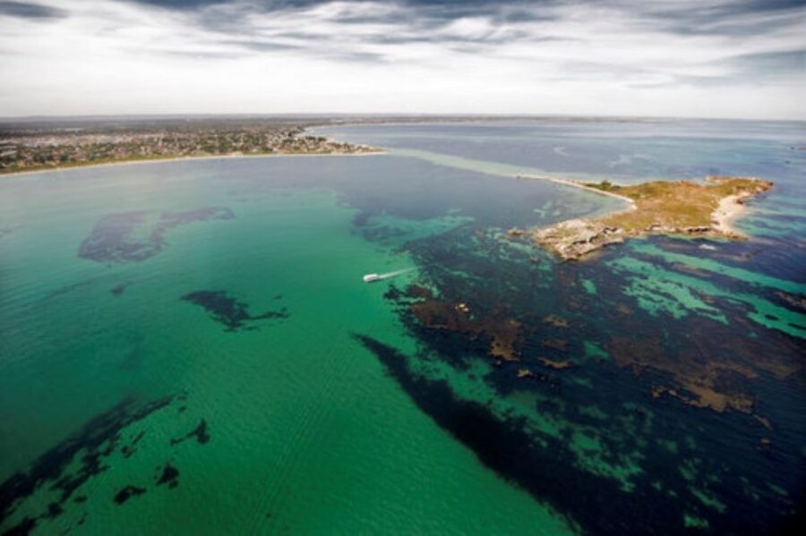 Rockingham: Shoalwater Islands Tour and Penguin Island - The Itinerary in Detail