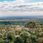 Roma: Landscape and Legacy Day Tour Including Lunch - FAQ