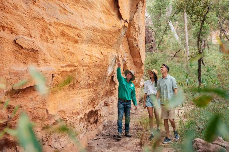 Roma: Lost World Carnarvons and Wallaroo Day Tour - Practical Details and Value