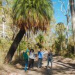 Roma: Lost World Carnarvons (Wallaroo) Day Tour - What Travelers Say