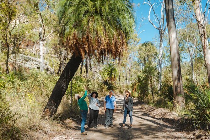 Roma: Lost World Carnarvons (Wallaroo) Day Tour - What Travelers Say