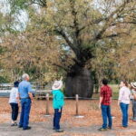 Roma: Roma Revelation Half Day Tour - The Sum Up: Why You Should Consider This Tour
