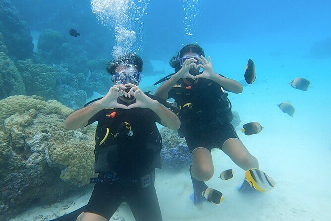 Romantic Dive for beginners in Bora Bora (2 people) with Video - What to Expect: A Step-by-Step Breakdown