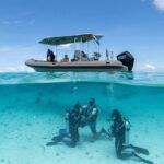 Romantic dive in the lagoon of Bora Bora. Private instructor on a shared boat - The Sum Up