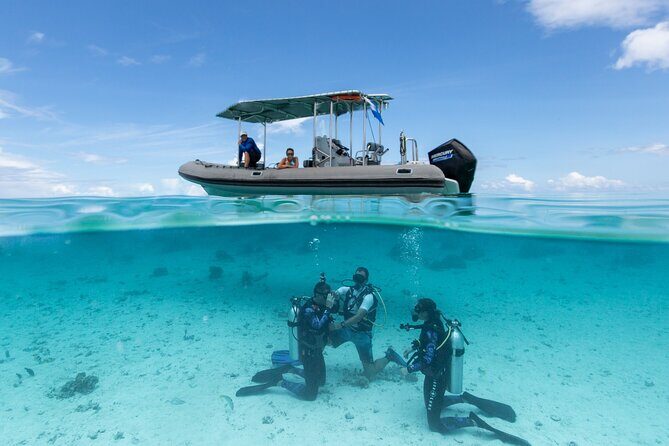 Romantic dive in the lagoon of Bora Bora. Private instructor on a shared boat - The Sum Up