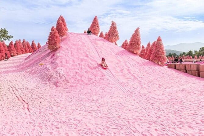 Romantic tour : Cherry blossom days in spring from Seoul - FAQ