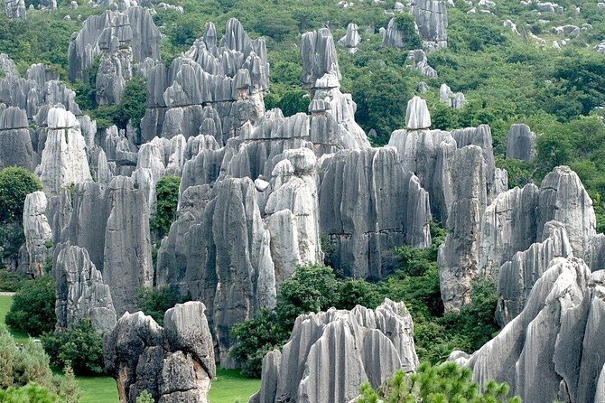 Romantic Tour in Kunming - Real Traveler Feedback and Insights